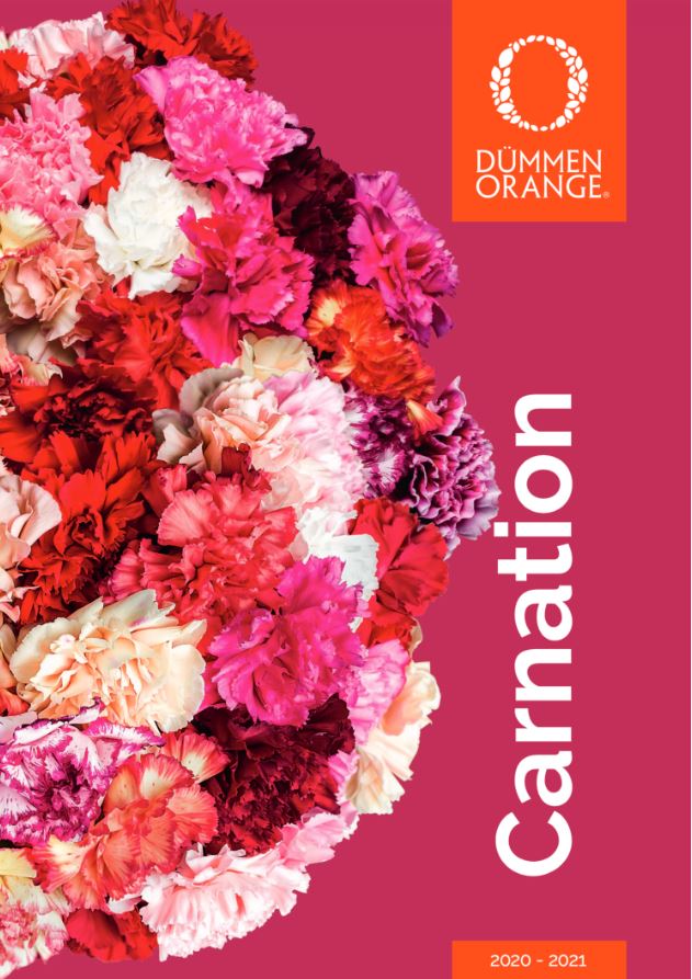 カタログ - Dümmen Orange